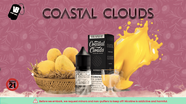 Top 5 Coastal Clouds Disposable Vape Flavors in 2024