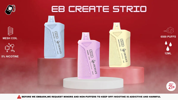 All-In-One Guide to Know About EB Create Strio Vape