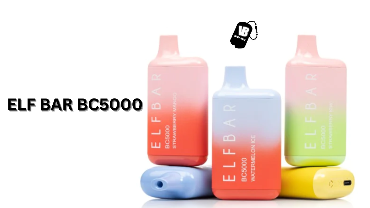 Everything You Need To Know About Elf Bar Disposable Vapes