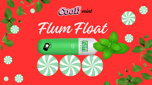 Flum Float Vape: Love At First Sight For Vapers