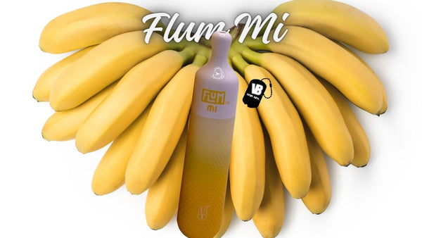 Revolutionizing Vaping Experience with Flum MI Disposable Vape