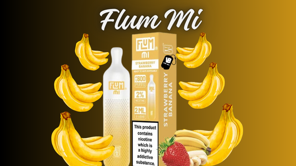 A Brief Overview Of Flum MI Disposable Vape