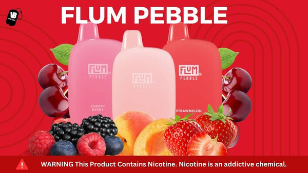 Flum Pebble Vape Review - Worth Buying or Not?