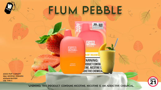 Flum Pebble Review: Navigating the Spectrum of Disposable Vape Delight