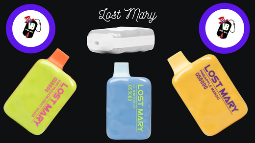 Discovering the Lost Mary: An In-depth Look at its Functionality