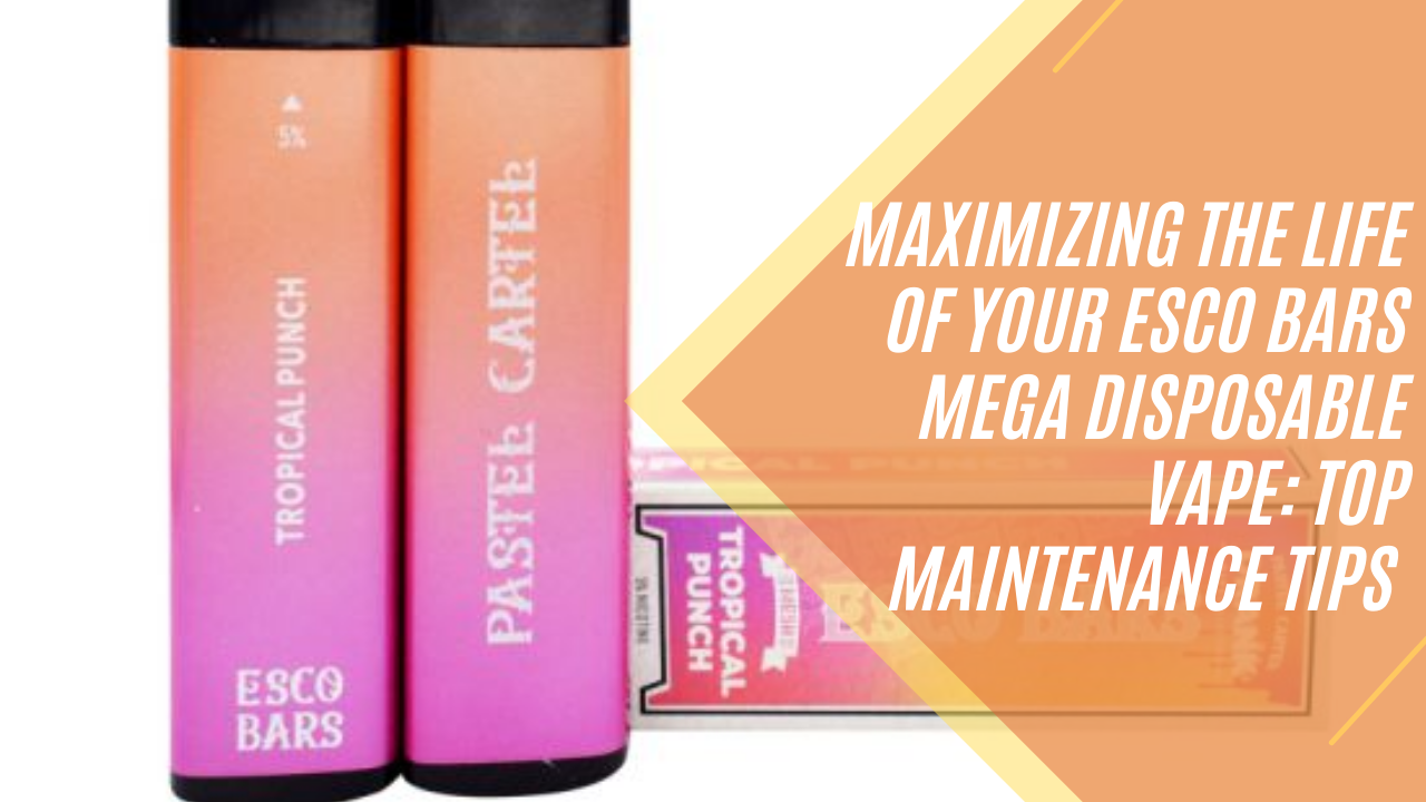 Maximizing the Life of Your Esco Bars Mega Disposable Vape: Top Mainte