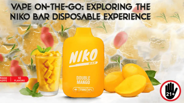 Vape On-the-Go: Exploring the Niko Bar Disposable Experience