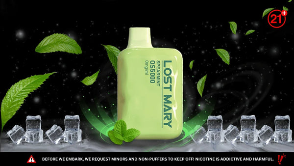 Reviewing the Versatility of Lost Mary Disposable Vapes
