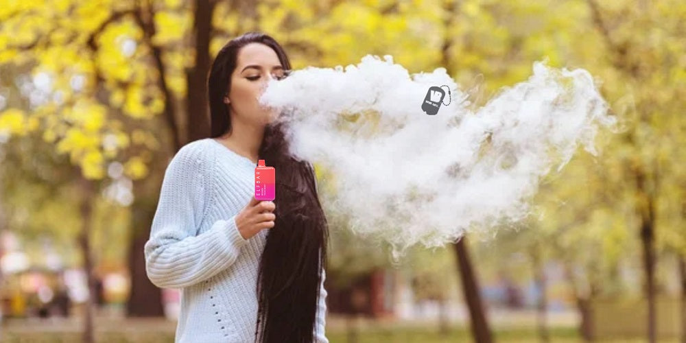 Elf Bar Disposable: The Convenient and Affordable Vaping Device!