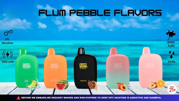 Compact and Powerful Flum Pebble Vape: Up To 6000 Puffs